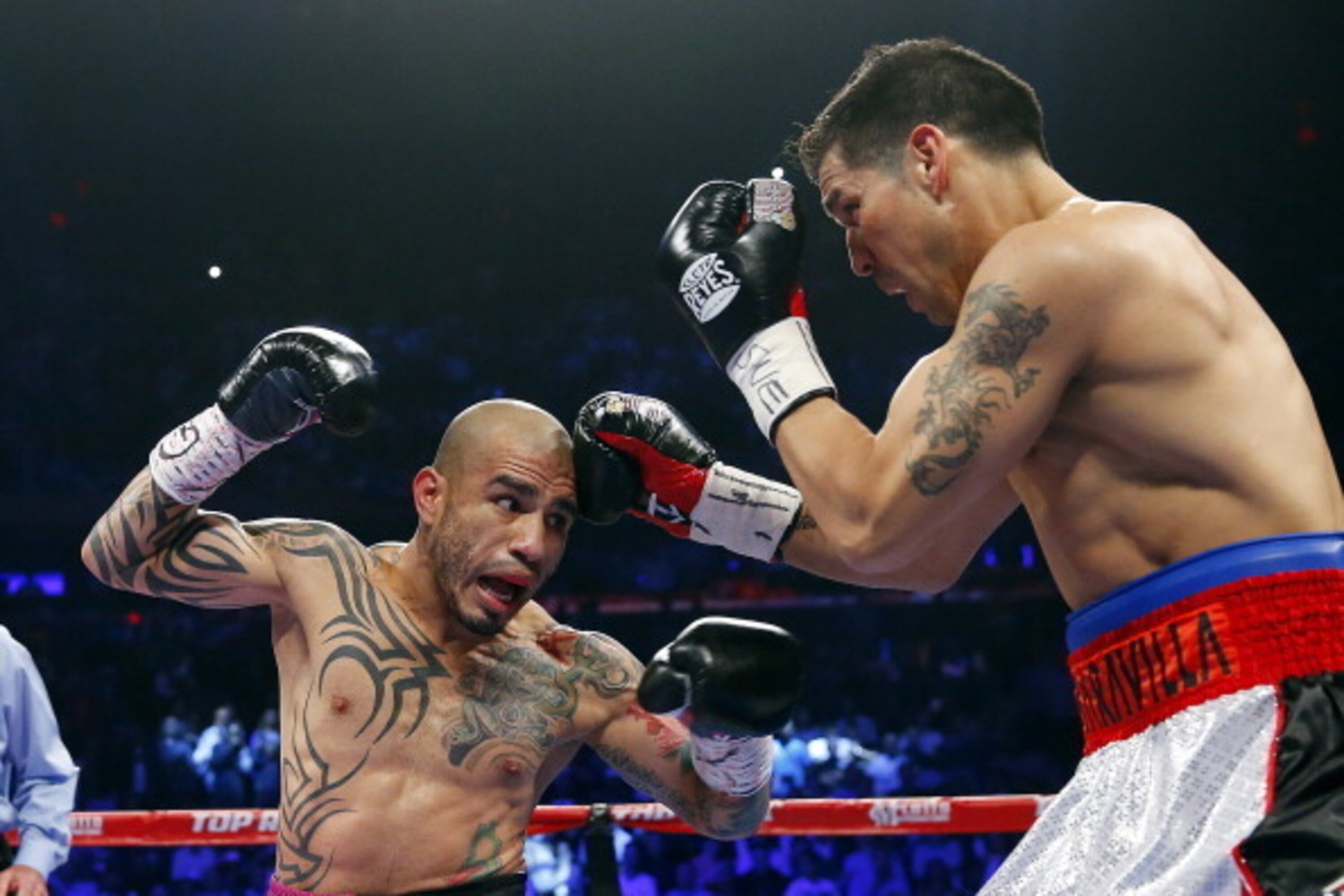Boxers Whose Popularity Will Continue to Grow in 2014