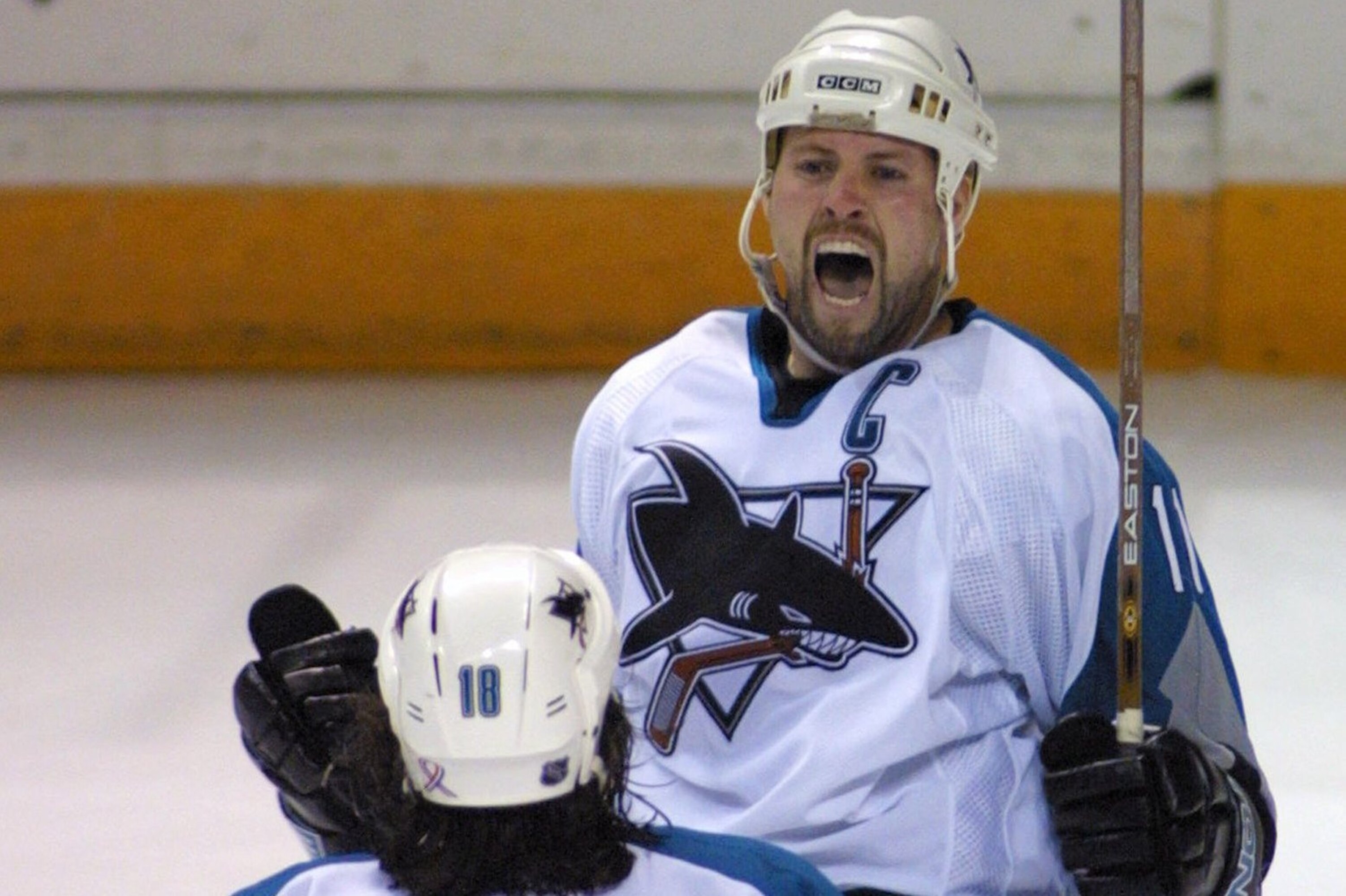 Ranking the 5 Most Colorful Players in San Jose Sharks History