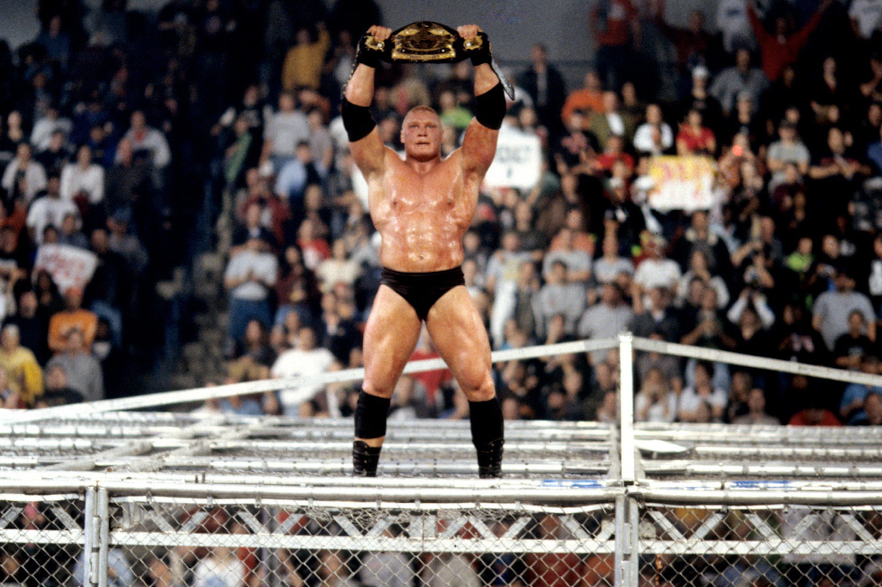 hell in a cell grime