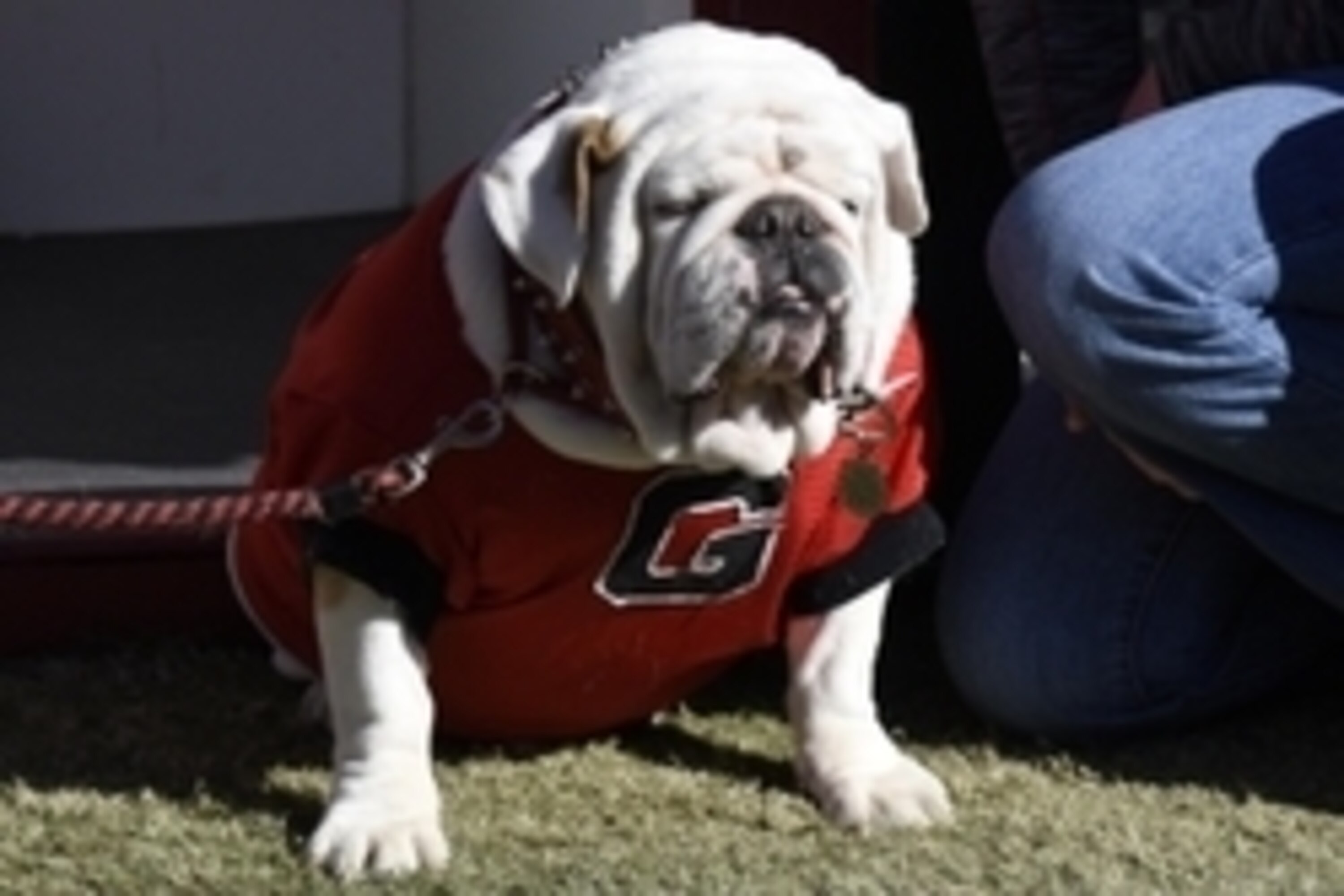Georgia Football: 5 Commits Who Will Start a Game in 2015 for the Bulldogs