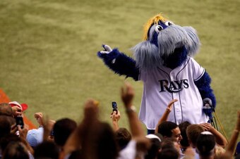 rays mascot name