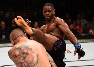 ultimate fighting results