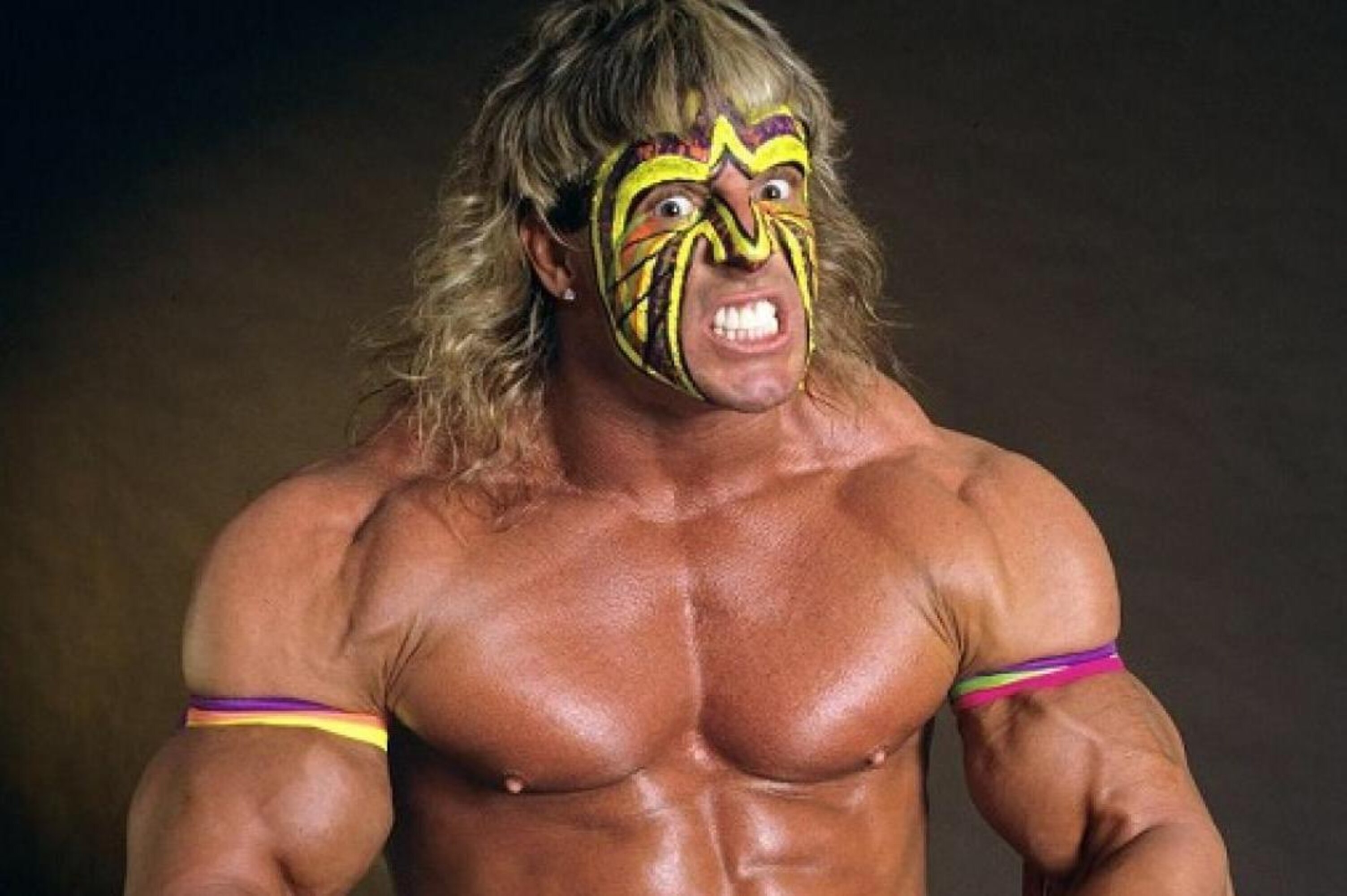 ultimate warrior texans