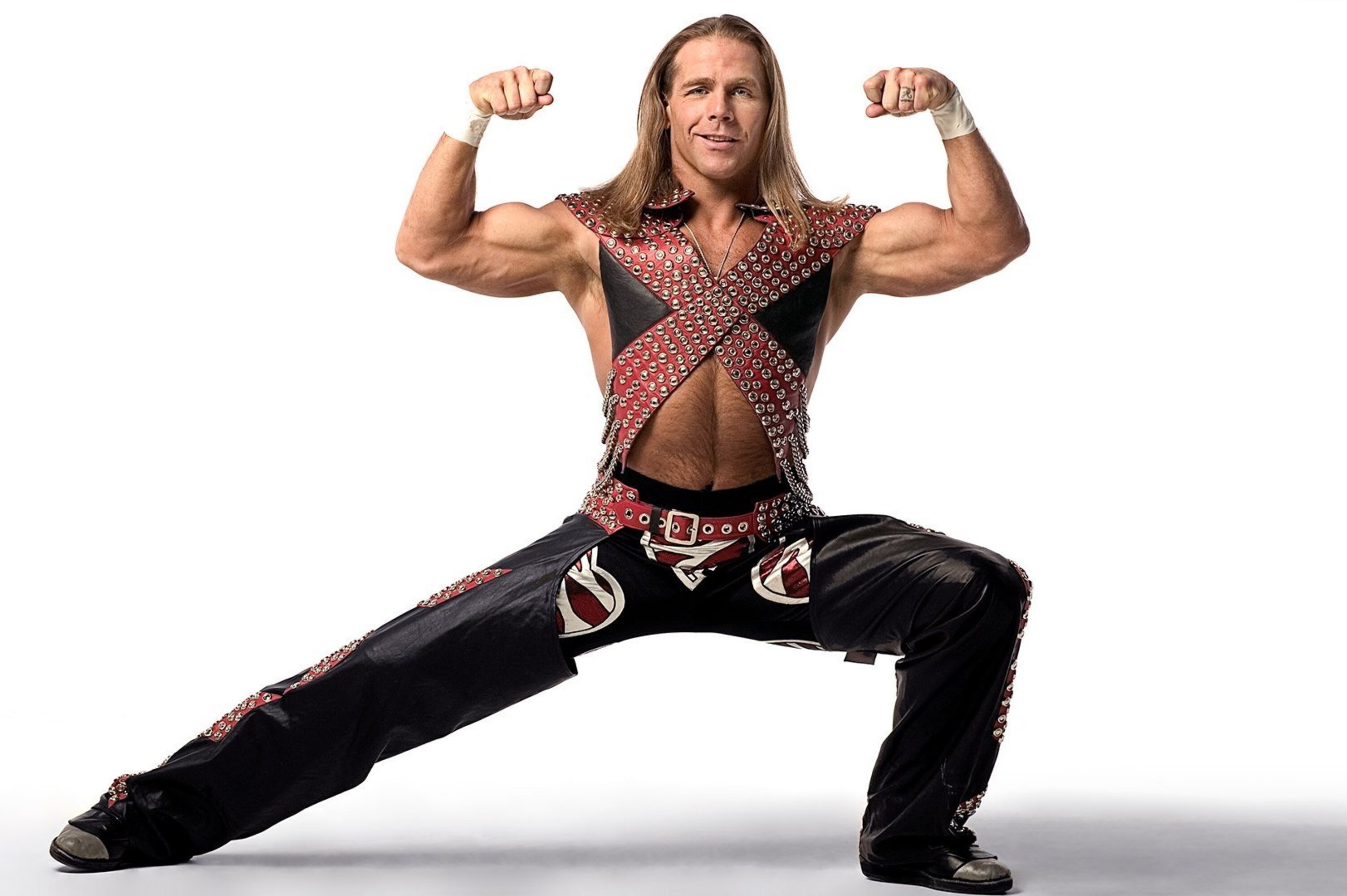 shawn michaels career timeline